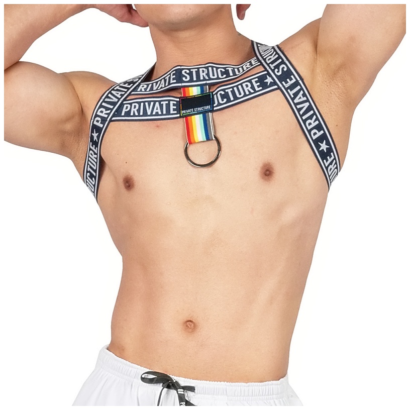 Private Structure สายรัดหน้าอกผู้ชาย Party Harness | Shopee Thailand