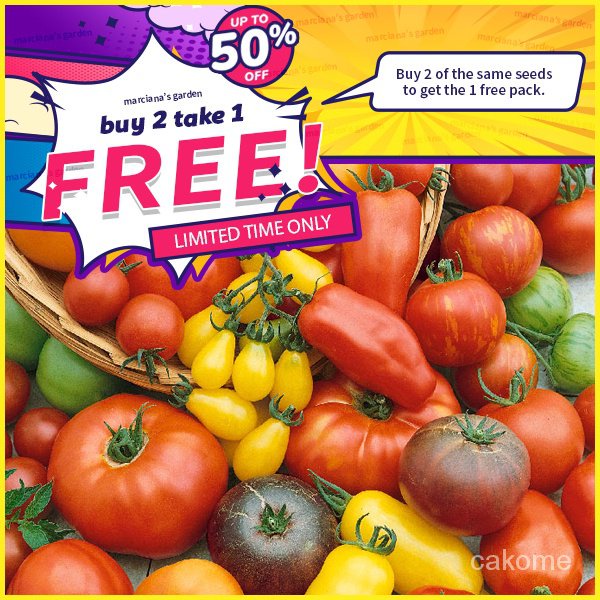 Spot 100% Plump Seedstomento Seeds-มะเขือเทศผสมสีรุ้ง-ผสมเมล็ดมะเขือเทศ ...