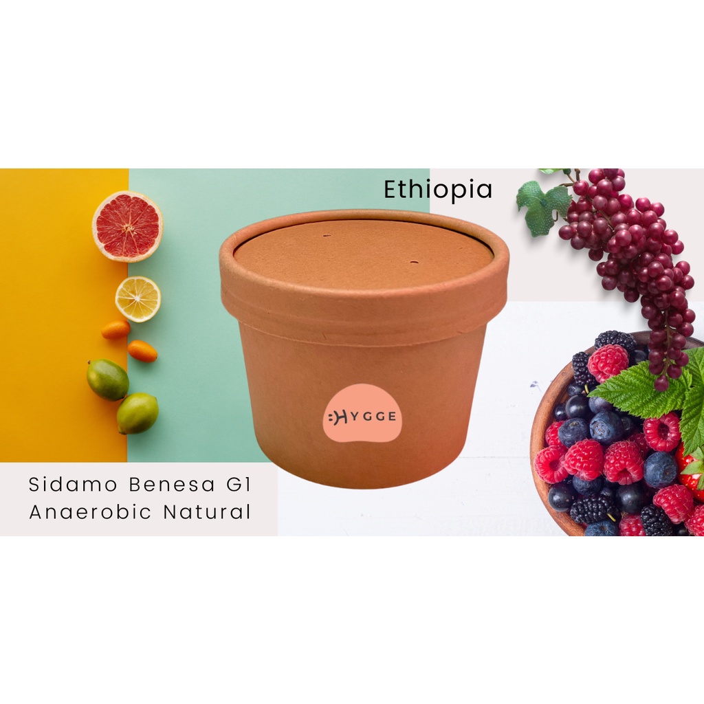Ethiopia Sidamo Benesa G1 | Shopee Thailand