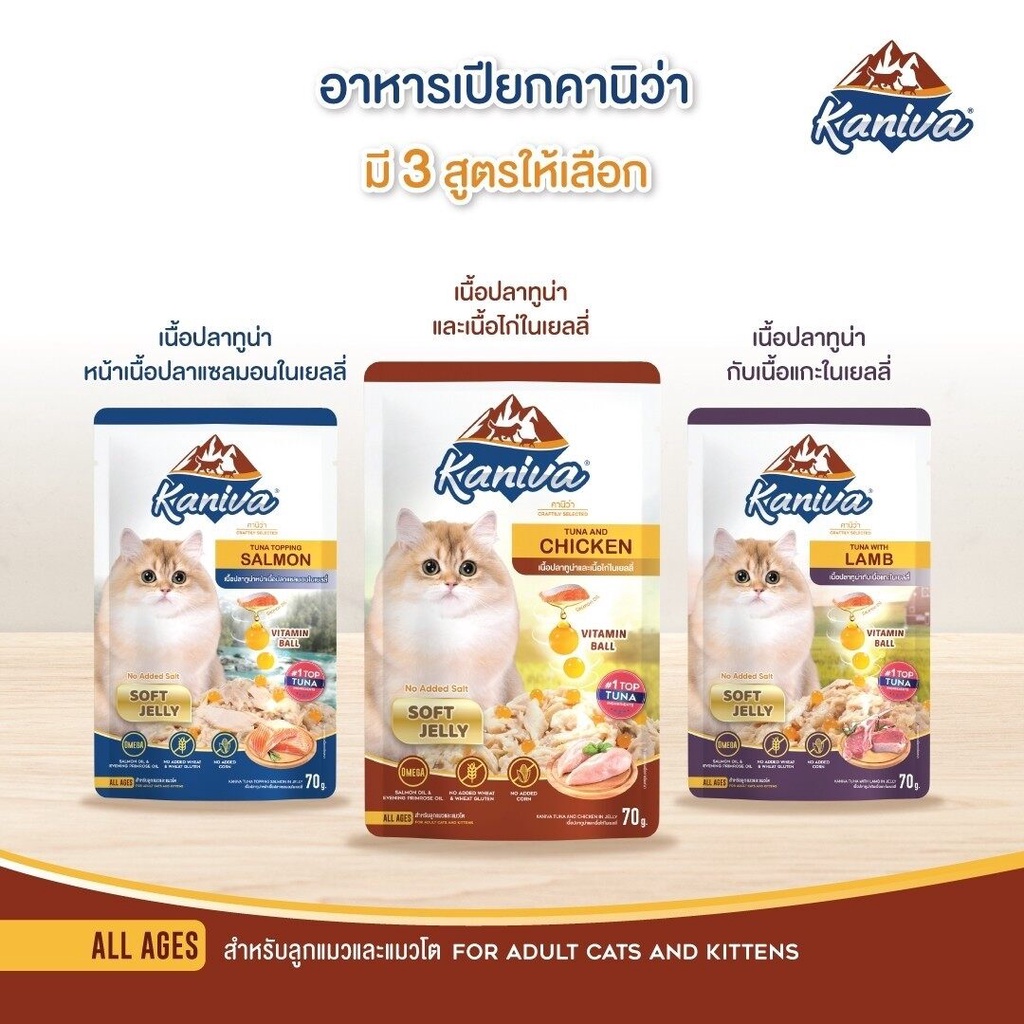Kaniva อาหารเปียกแมว 70กรัม/1ซอง | Shopee Thailand
