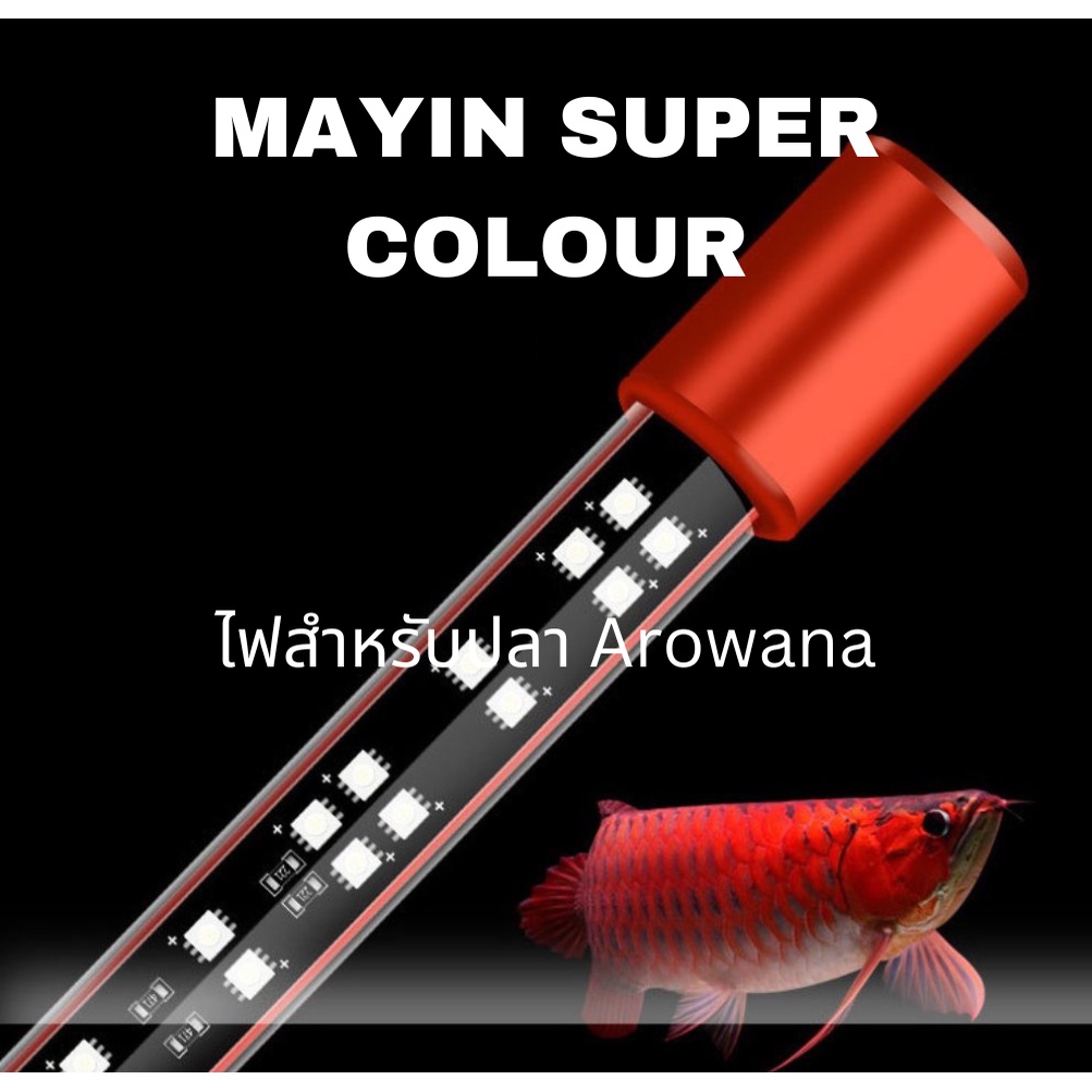 หลอดไฟ MAYIN SUPER COLOR | Shopee Thailand