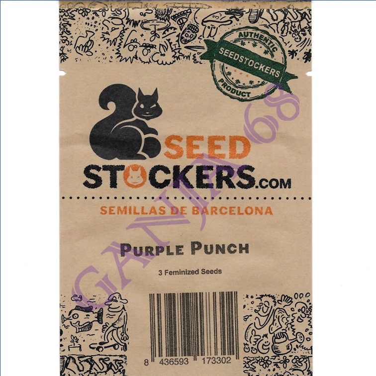 Purple Punch - Seed Stockers | Shopee Thailand