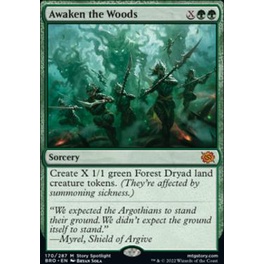 Awaken the Woods การ์ด Magic The Gathering ของแท้ จากชุด The Brothers ...