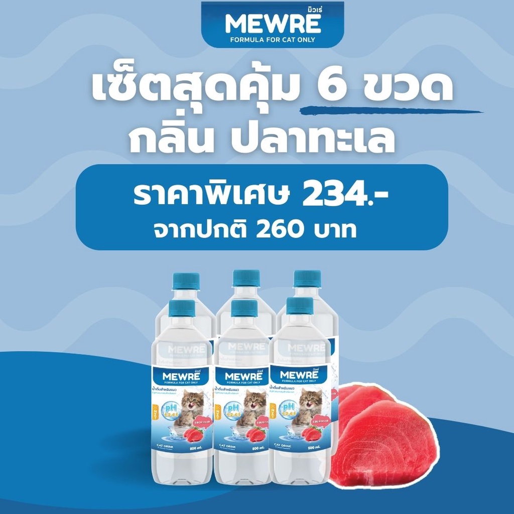 Mewre มิวเร่ เซ็ตสุดคุ้ม 6 ขวด น้ำดื่มสำหรับแมว น้ำแมว กลิ่นปลาทะเล ขนาด 500ml. (F500 x 6 ...
