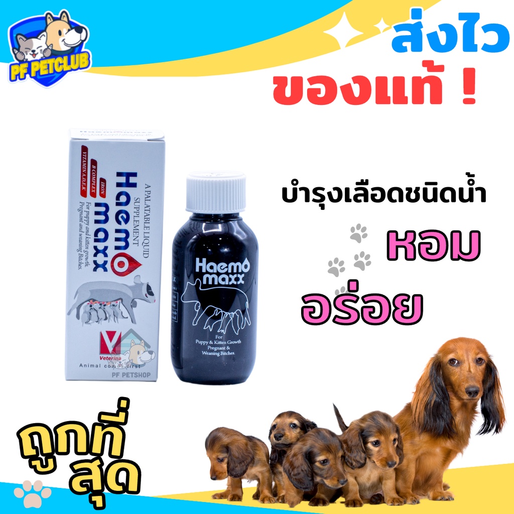 Haemomax วิตามินบำรุงเลือด ชนิดน้ำ รสชาติอร่อย สำหรับสุนัขและแมว ...
