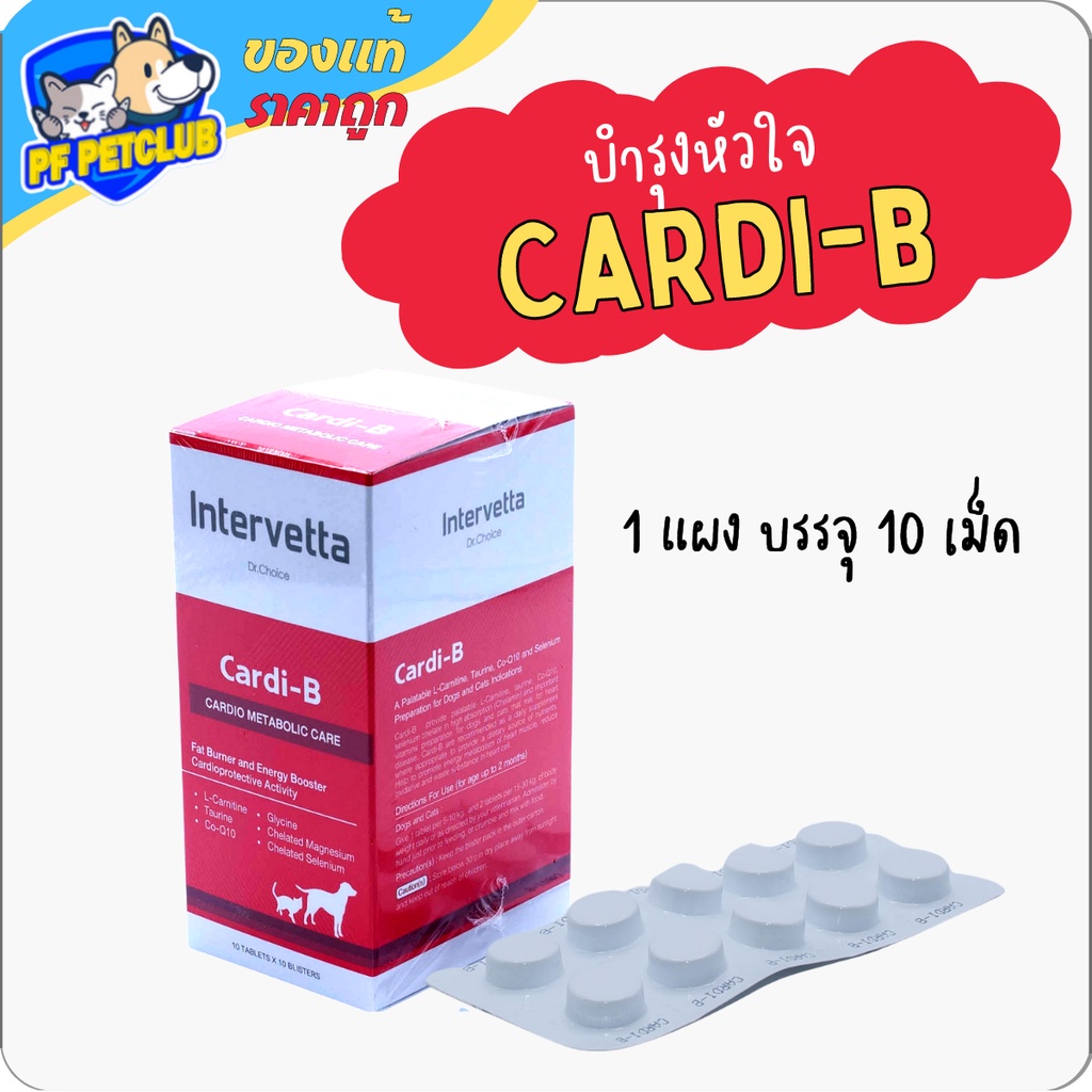 Dr.Choice Cardi-B 💖 บำรุงหัวใจ ยกกล่อง 100 เม็ด | Shopee Thailand