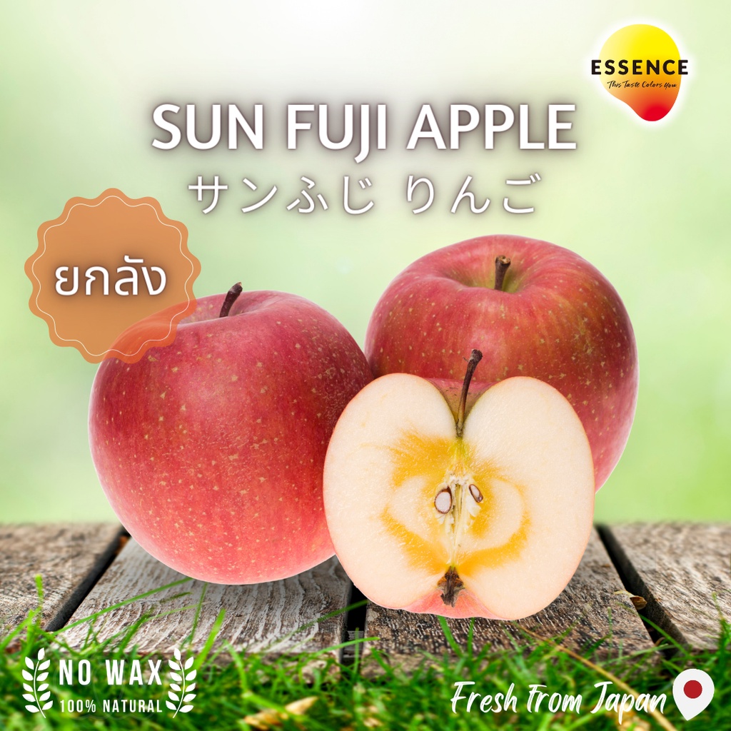 (ยกลัง) แอปเปิลสายพันธ์ญี่ปุ่น Sun Fuji Apple by ESSENCE | Shopee Thailand