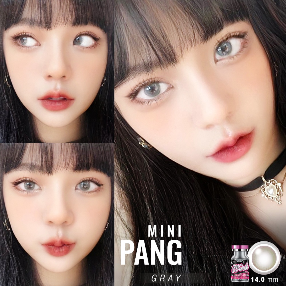 คอนแทคWink รุ่น Mini Pang /สีGray/รุ่นMini Frig สีน้ำตาลไม่มีค่าสายตา ...