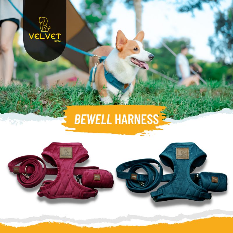ชุด Bewell harness Full set (สายรัดอกสุดพรี่เมี่ยม มาพร้อมสายจูงกำมะหยี่สีเดียวกัน เข้าชุด ...