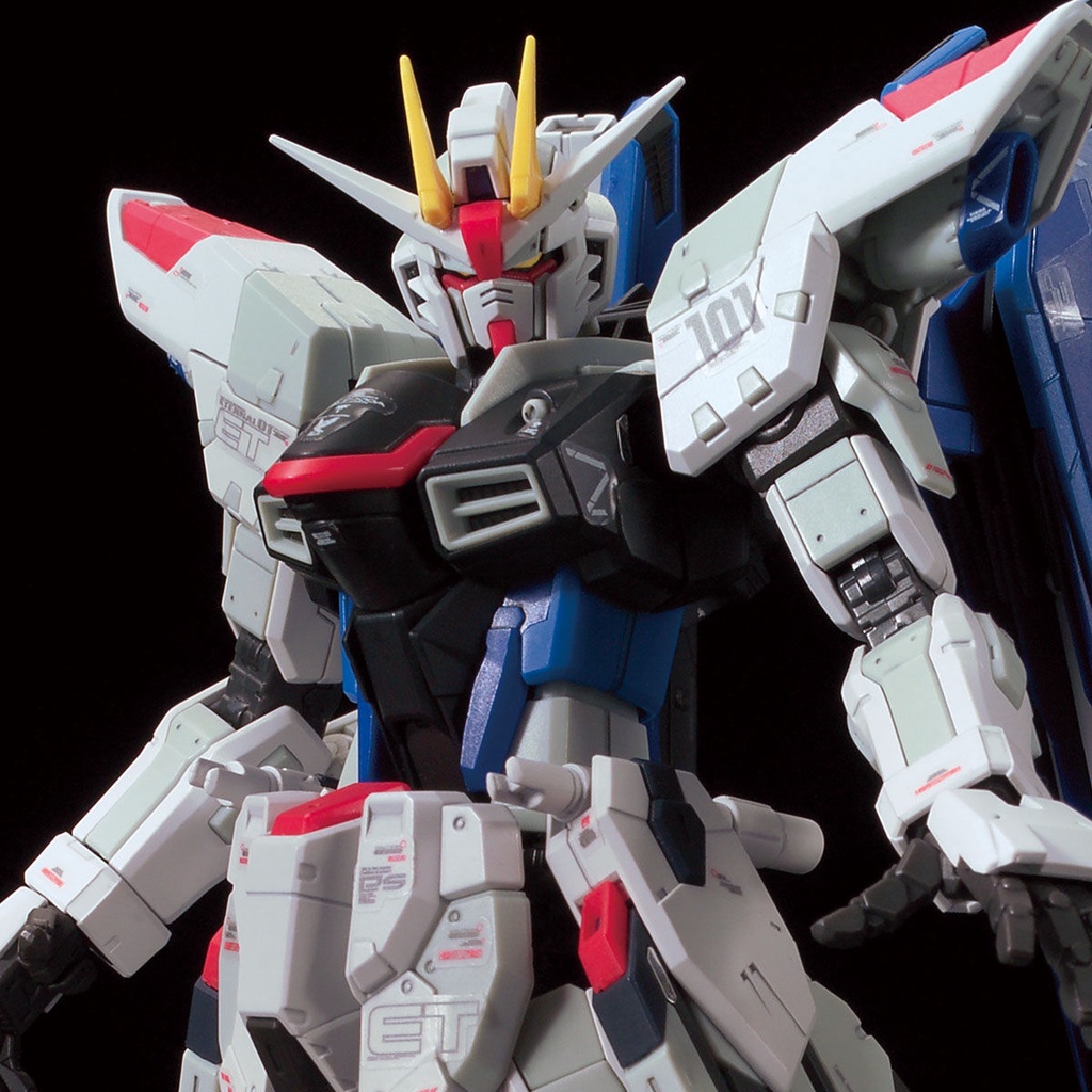 [P-BANDAI] RG 1/144 Freedom Gundam ver. GCP | Shopee Thailand