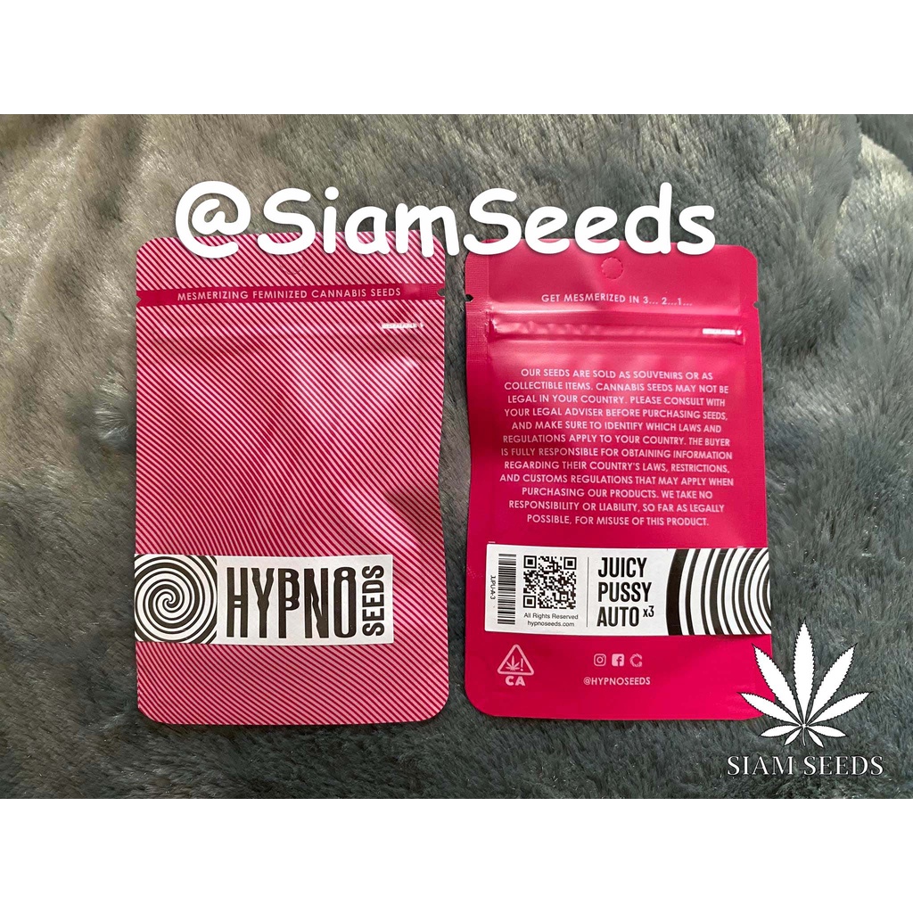 เมล็ดกัญชา Hypno Seeds Juicy P*ssy Auto Cannabis Seeds (Pack of 3 ...