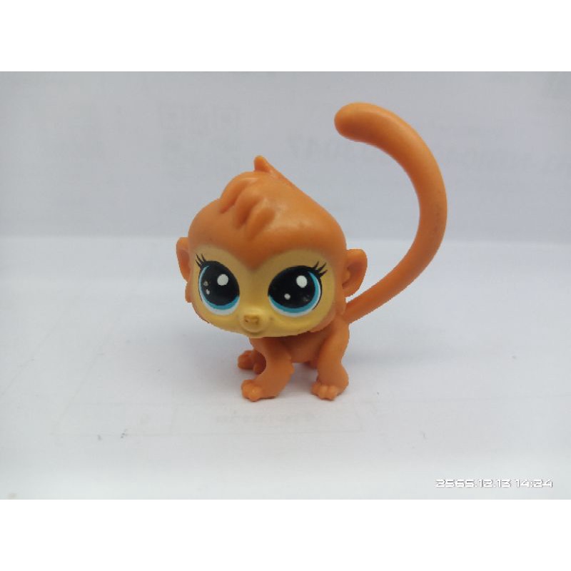 ฃุดที่3Littlest Pet Shop ไซส์เล็ก แท้ ของเล่นเด็ก ของเล่นสัตว์ lps toys ...