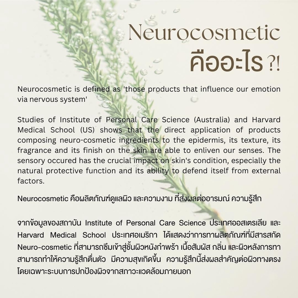 About T SUGi Facial Serum 30ML I เซรั่มบํารุงผิวหน้า กู้ผิวโทรม ลดผิวเครียด สนญี่ปุ่น skin ...