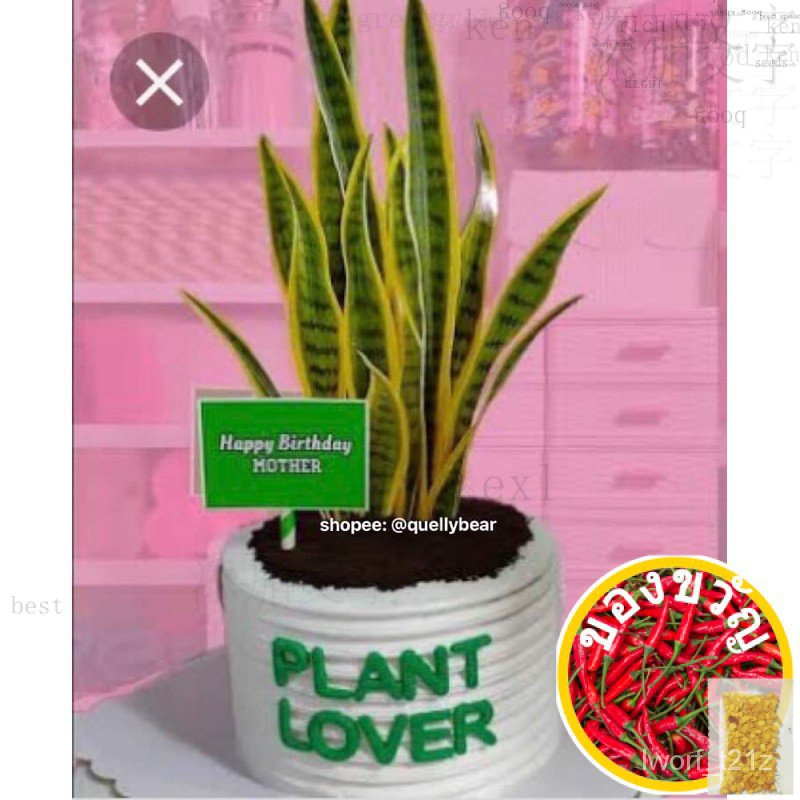 Plant Cake Topper (13 Leaves)ชุดชั้นใน/เซกส์/ผู้ชาย/ทรานส์/ แคลร์ ...