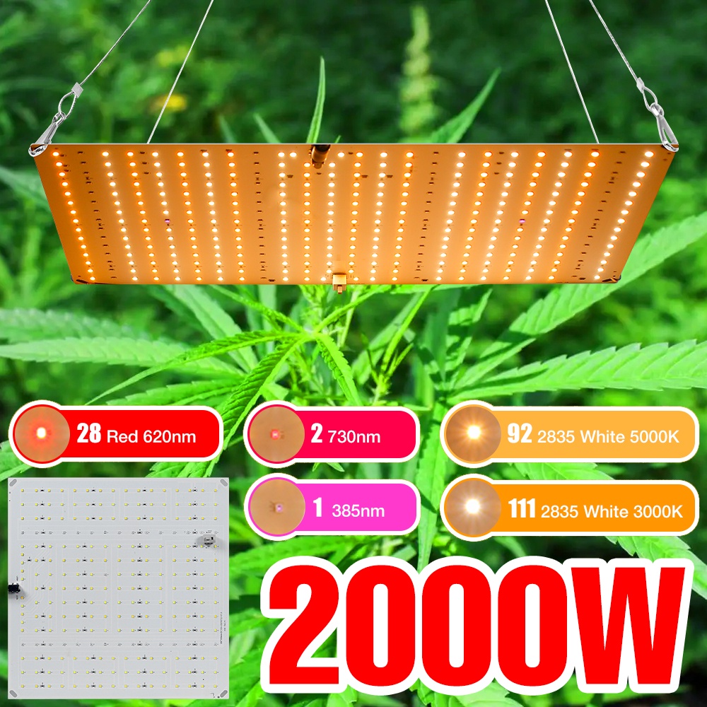 2000W Led Grow Light Full Spectrum 1500W ไฟปลูกต้นไม้ 1000W ไฟปลูกพืช ...