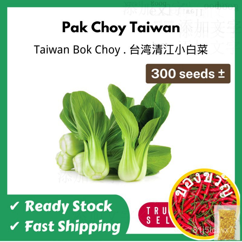 Taiwan PAK choy/twi (ผัก seeds/ เมล็ด/ใบชา)มักกะโรนี/แม่และเด็ก/ เชอร์เ ...