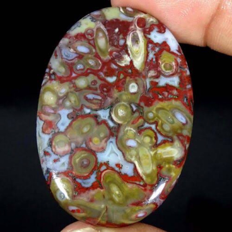 1 pc Natural Palm Root Jasper 2-3 cm Polished Cabochon Stone / Top High ...