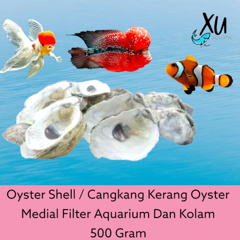 Oyster SHELL ตัวกรองโคลง PH MEDIA 500 GR | Shopee Thailand