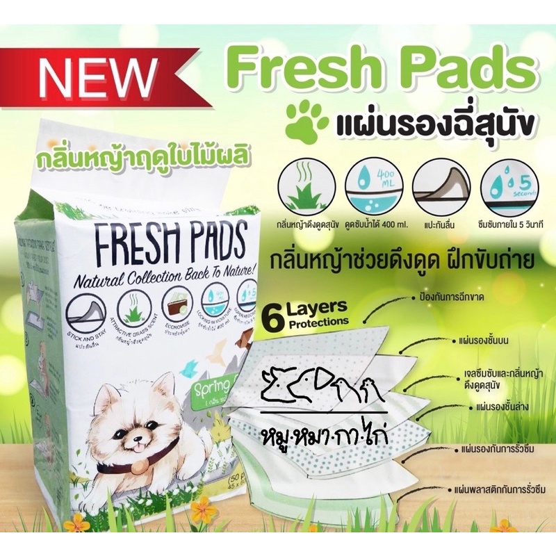 FRESH PADs แผ่นรองฉี่กลิ่นหญ้า แผ่นรองซับ กลิ่นดึงดูด แผ่นฝึกฉี่ (ขนาด ...