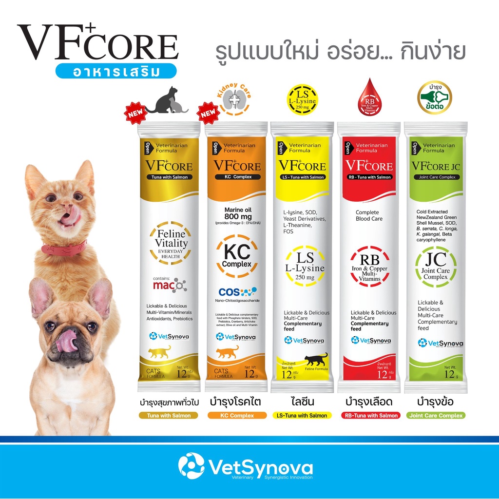อาหารเสริมสุนัขและแมว VF+Core by Vetsynova | Shopee Thailand