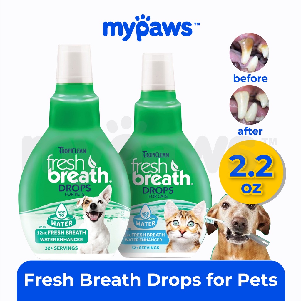 My Paws Fresh Breath Drops For Pets ผลิตภัณฑ์สำหรับผสมในน้ำดื่มสำหรับหมาแมว สูตรเข้มข้น 2.2Oz ...