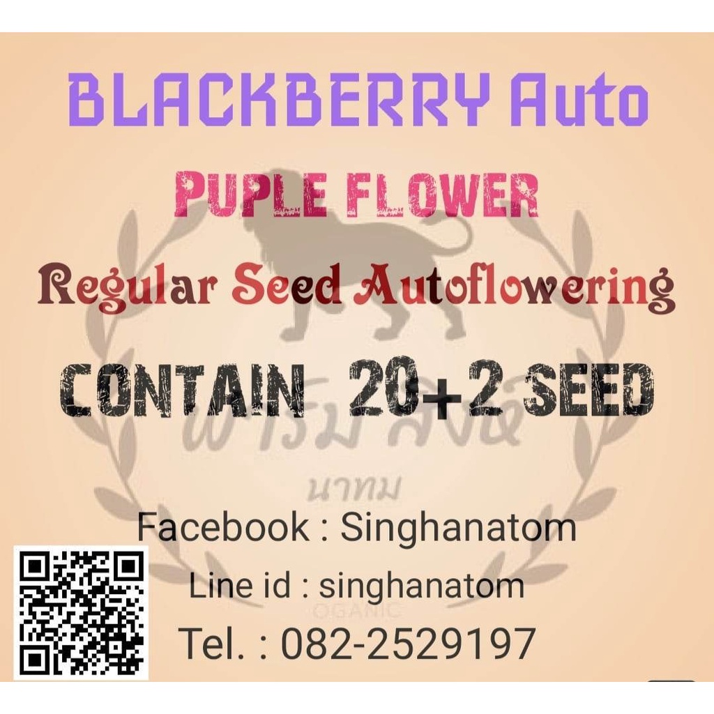 ฺBlackberry Auto (ดอกม่วง) สายพันธุ์แท้ มีใบอนุญาตขายตามกฎหมาย | Shopee ...