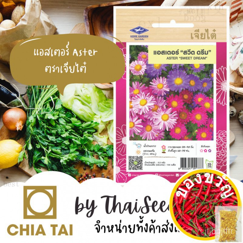 เมล็ดอวบอ้วน100%，ไทยในสต็อกพร้อมส่งเมล็ดพันธุ์ แอสเตอร์สวีตดรีม ตรา ...