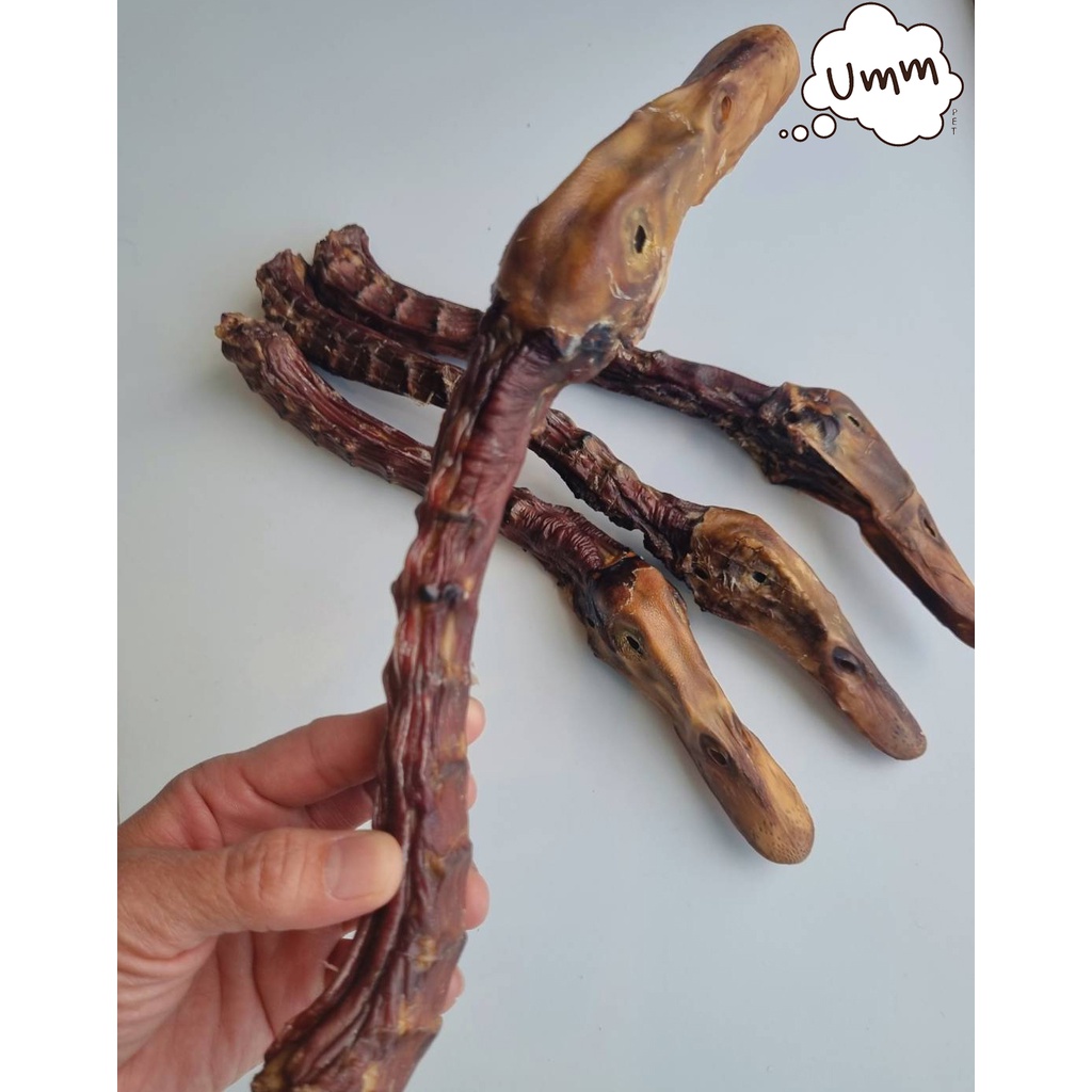 Duck Neck คอเป็ดอบแห้ง ขัดฟันสุนัข น้องหมาชอบมาก umm ขนมหมา | Shopee ...