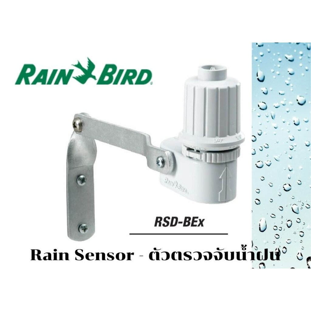 ตัวตรวจจับน้ำฝน Rain Sensor Rain Bird รุ่น RSD-BEx (USA) | Shopee Thailand