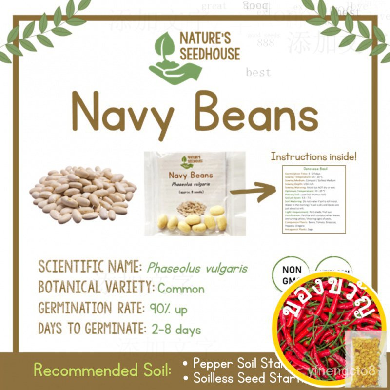 Navy Beans Seeds White Beans Seeds Bitswelas Seeds Vegetable Seeds ...