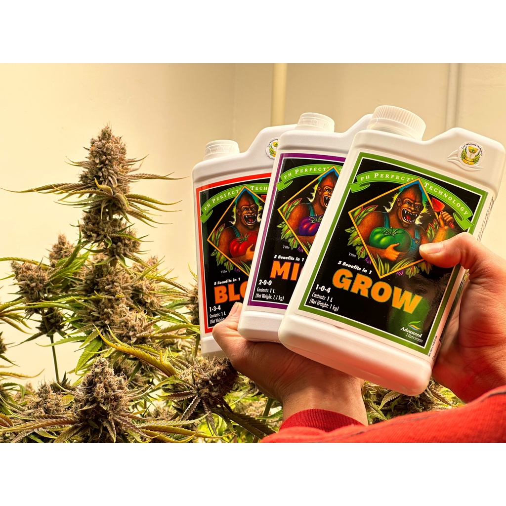 Advanced Nutrients pH Perfect Grow Micro Bloom 250ml, 500ml, 1L (ขวดแท้,แบ่ง) ปุ๋ยหลักทำใบทำดอก ...