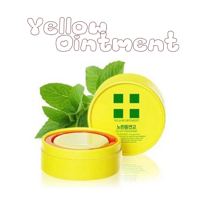 (☁️ของแท้/พร้อมส่ง) Yellow Ointment Centella treated Extract 18g. ครีม ...
