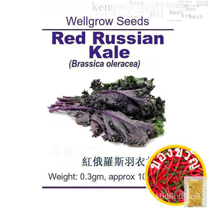 WHT wellgrow benefits herbs Sheba #238523233สเน่ห์100คลีน EMH6 | Shopee ...