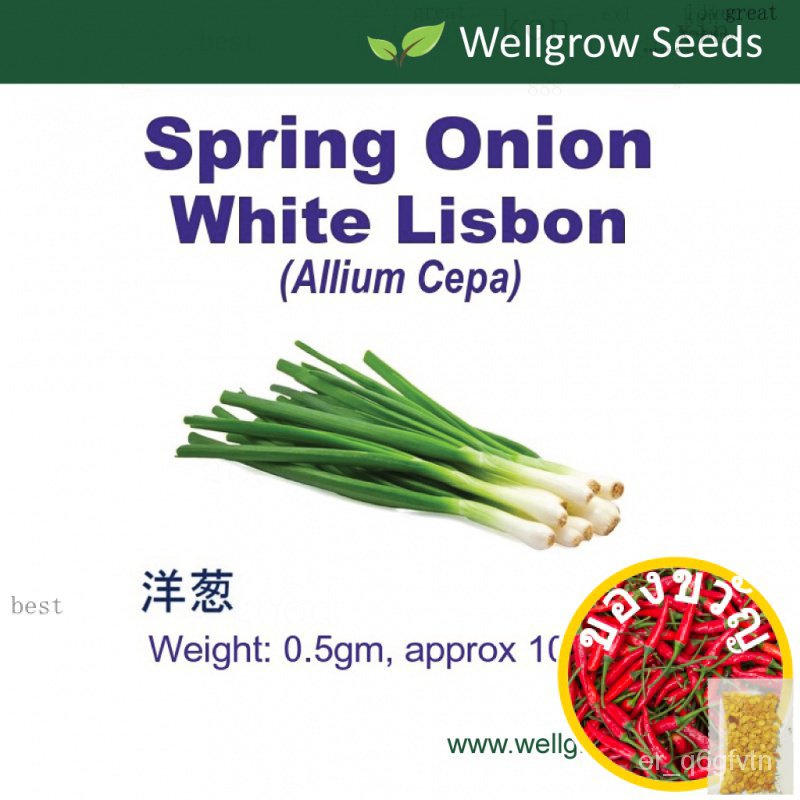Spring onion White stings (0.5GM ประมาณ100sds) REZX | Shopee Thailand