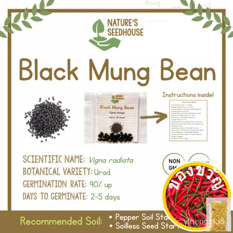 Black Mung Bean Seeds Black Munggo Seeds Vegetable Seeds Plant Seeds ...