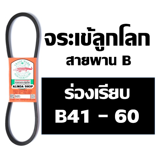 จระเข้ลูกโลก สายพาน (ร่อง B เรียบ) B41 B42 B43 B44 B45 B46 B47 B48 B49 B50 B51 B52 B53 B54 B55 ...