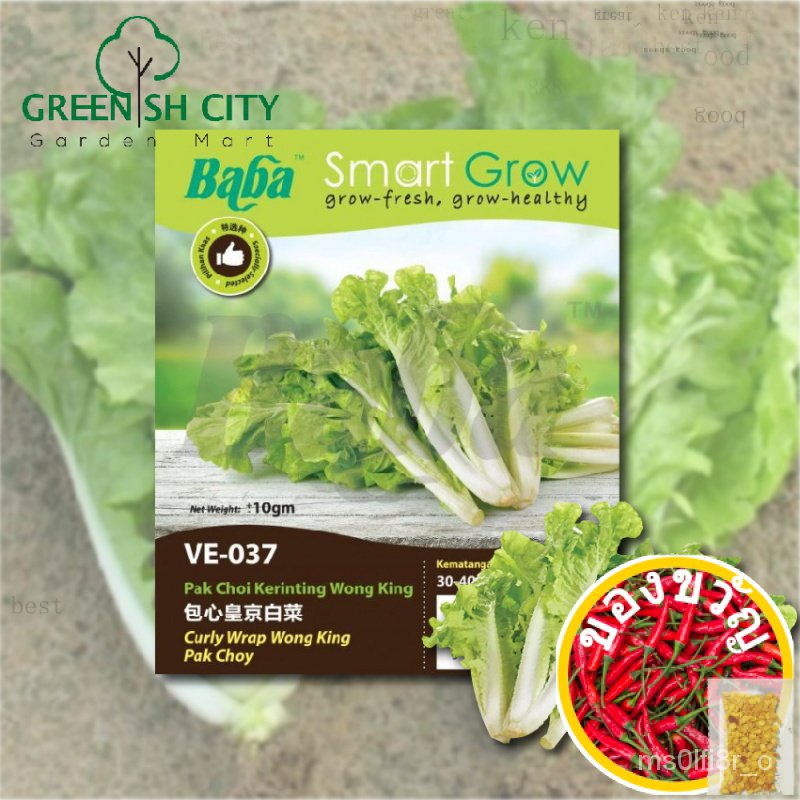 GNC Baba Smart Grow seeds VE-037 CURLY Wrap Wong King PAK Choy (ขนาด: 1 ...
