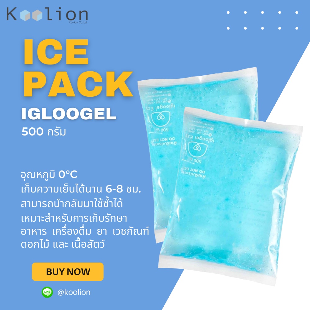 Ice Pack เจลเก็บความเย็น Ice Gel อุณหภูมิ 0 °C ขนาด 500 กรัม แช่นมแม่ ...