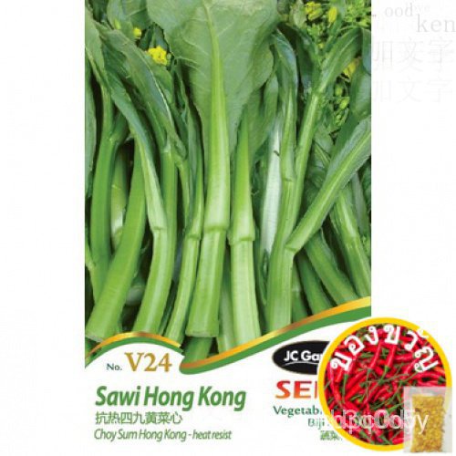 V24 Choy SUM Hong Kong HEAT RESIST vegetable seeds // Hong Kong sawi ...