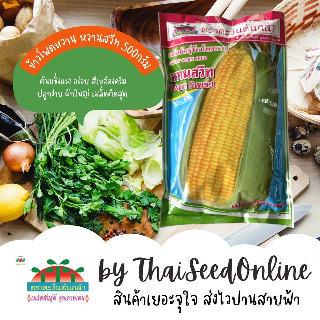 500กรัม ใหม่เมล็ดพันธุ์ข้าวโพดหวาน หวานสวีท 500 กรัม ตราตะวันต้นกล้า ...