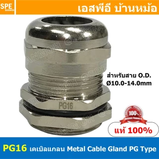 pg16 ราคาพิเศษ | ซื้อออนไลน์ที่ Shopee ส่งฟรี*ทั่วไทย!