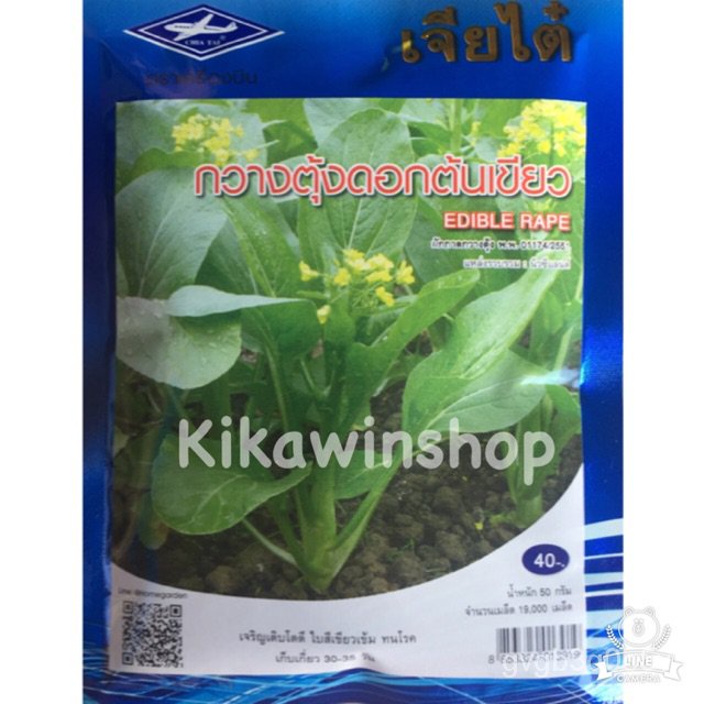 เมล็ดพันธุ์ เมล็ดผักกวางตุ้งดอกต้นเขียว ซองจัมโบ้ 19000 เมล็ด UKHJ ...