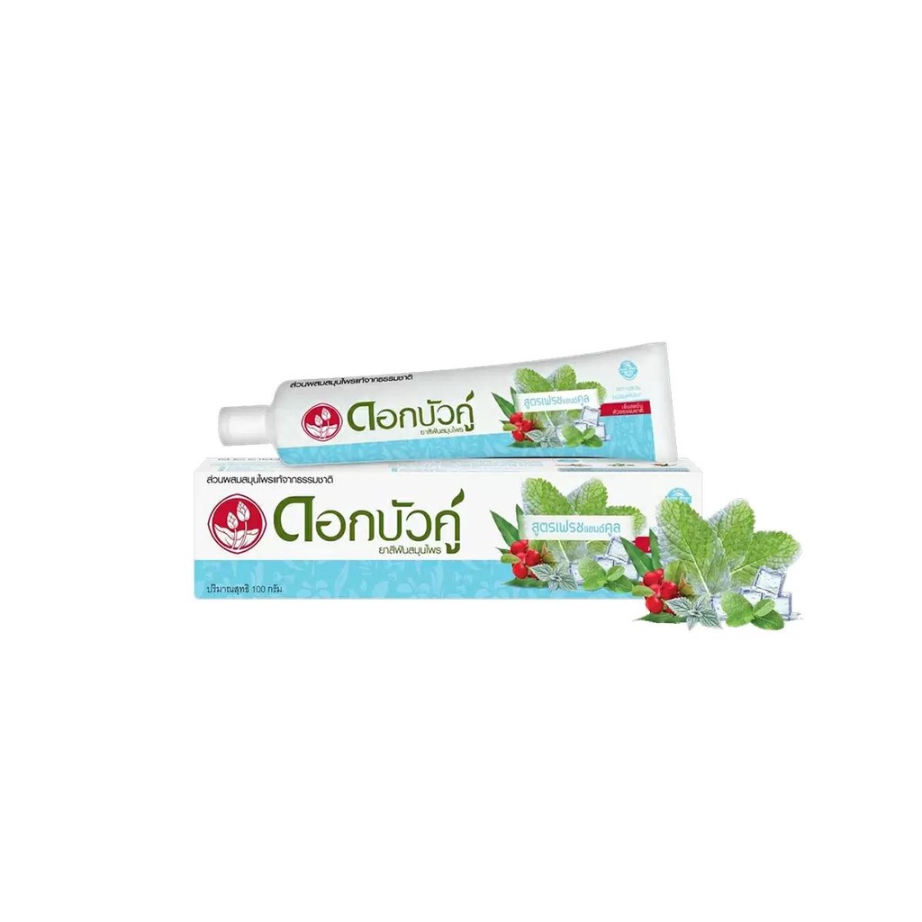 HOMEHAP ดอกบัวคู่ ยาสีฟันสมุนไพร สูตรเฟรชแอนด์คูล 100 กรัม ยาสีฟัน | Shopee Thailand