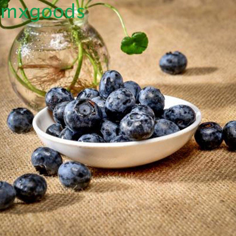 Mxgoods ผลไม้ปลอม บลูเบอร์รี่ประดิษฐ์ DIY สําหรับตกแต่งสวน พร็อพถ่ายรูป | Shopee Thailand