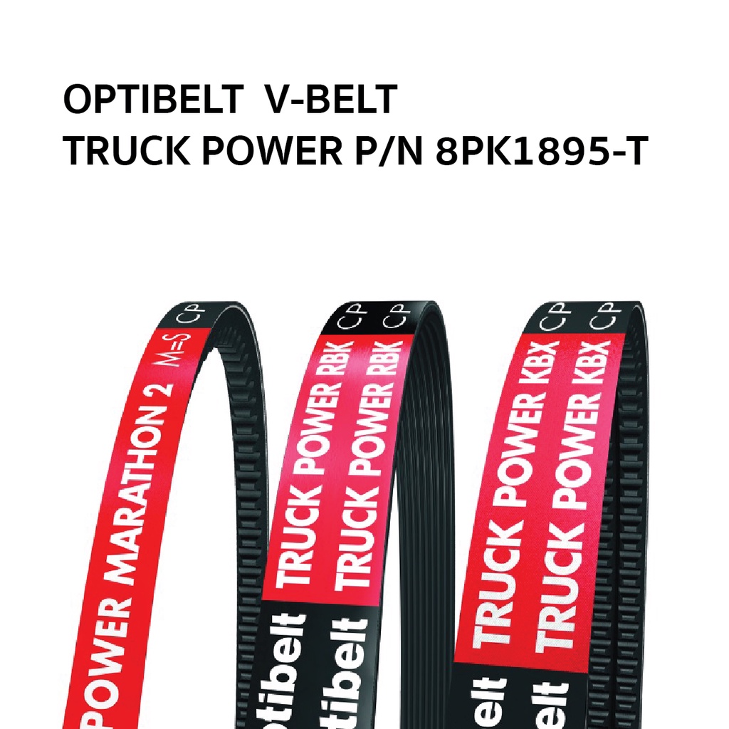 OPTIBELT V-BELT TRUCK POWER P/N 8PK1895-T | Shopee Thailand