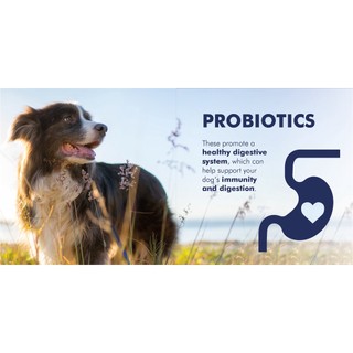 [Vetplus] Vetplus Sustain for Dogs (30 Sachets) / Small & Medium Breed ...
