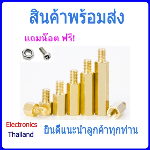 M3 น๊อต น๊อตยึดบอร์ด Pillar Nut เสาทองเหลือง น๊อตยืด แถมน๊อตฟรี (พร้อม ...