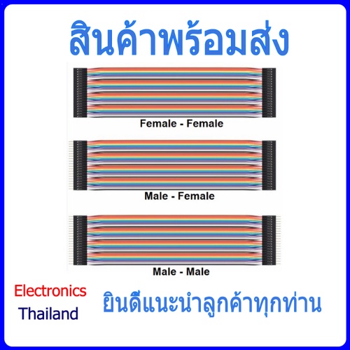 Jumper Wires สายจัมป์ 20cm / 40 เส้น (พร้อมส่งในไทย) | Shopee Thailand