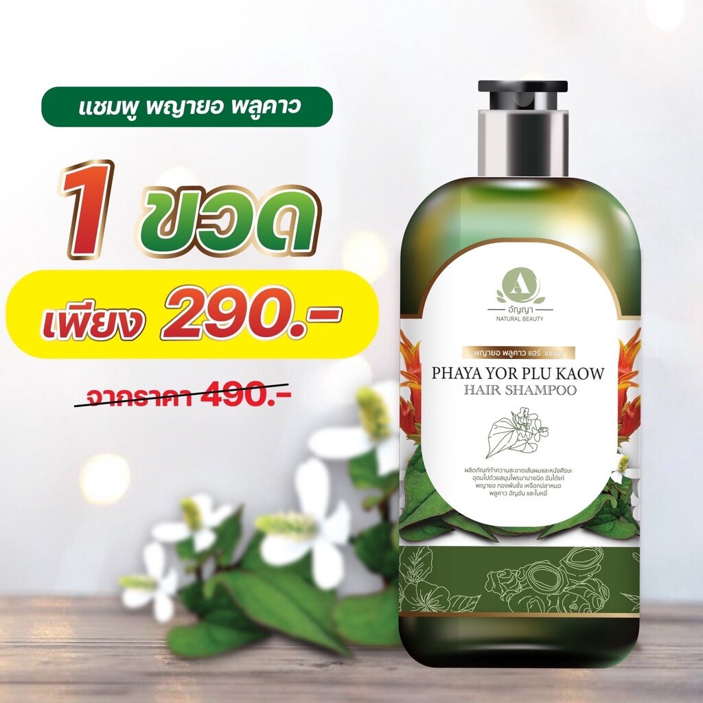 Anyaa แชมพู พญายอ พลูคาว แก้คัน เชื้อรา กลากเกลื้อน ขจัดรังแค ลดอาการ ...