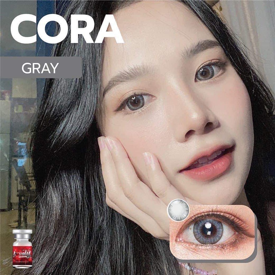 🔥คอนแทคเลนส์ ขนาดบิ๊กอาย Cora Gray / Brown (Lovelylens) | Shopee Thailand